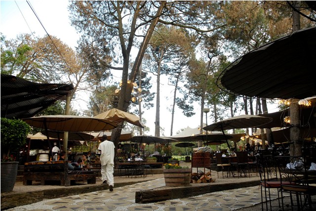 Moyo at Zoo Lake - Johannesburg Restaurants | Mr. Pocu Blog